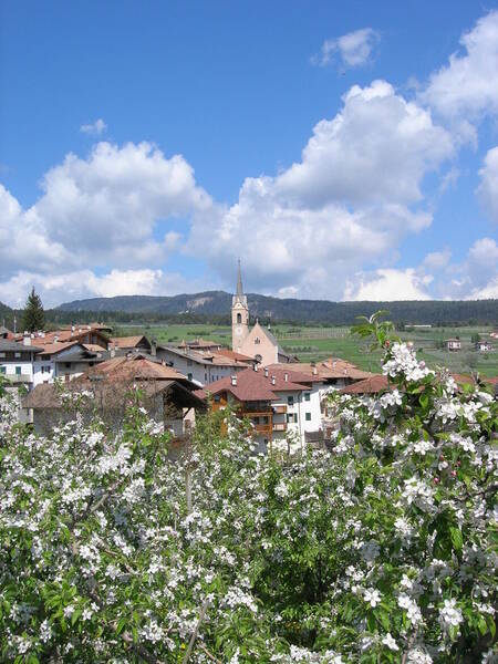 Il Paese / Paesaggi e immagini / Territorio / Comune di Castelfondo ...