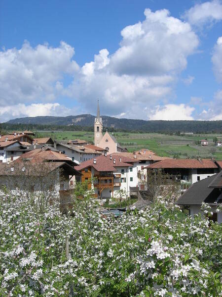 Il Paese / Paesaggi e immagini / Territorio / Comune di Castelfondo ...